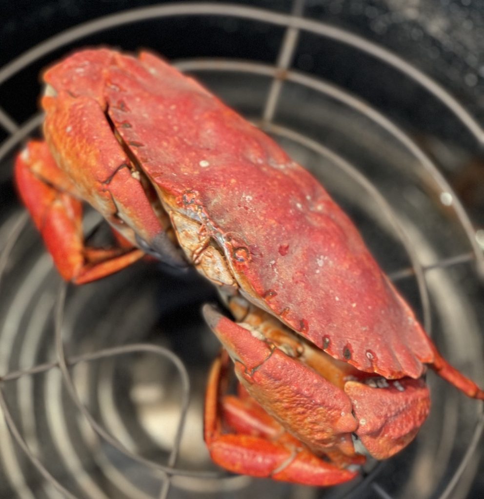How to Catch and Cook Your Own Crab in the PNW - Gather Lemons